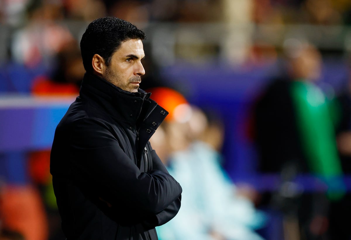 David Raya injury: Mikel Arteta reveals latest update on major new ...
