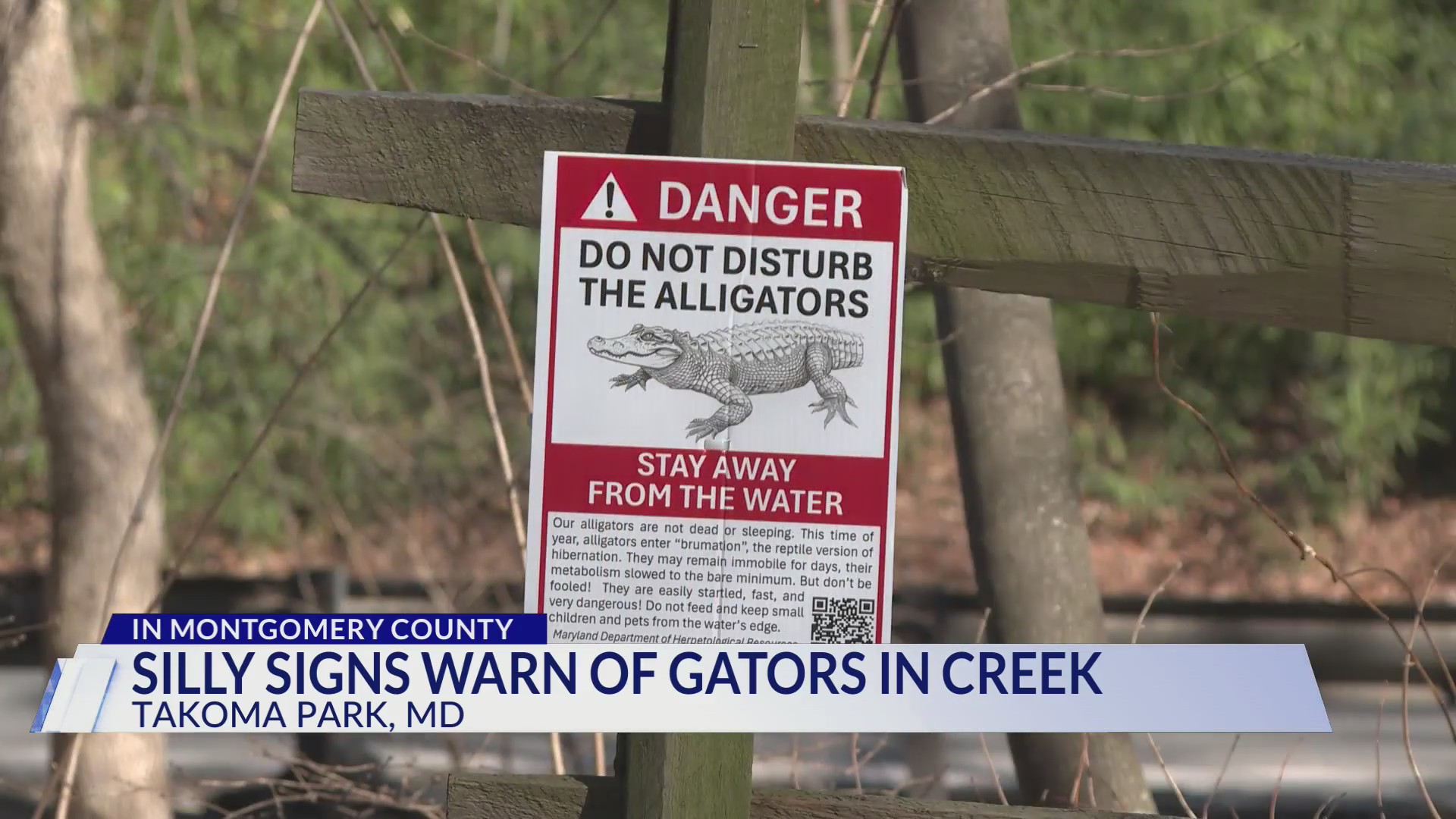 Charges pending after alligator signs pop up in Takoma Park, police say