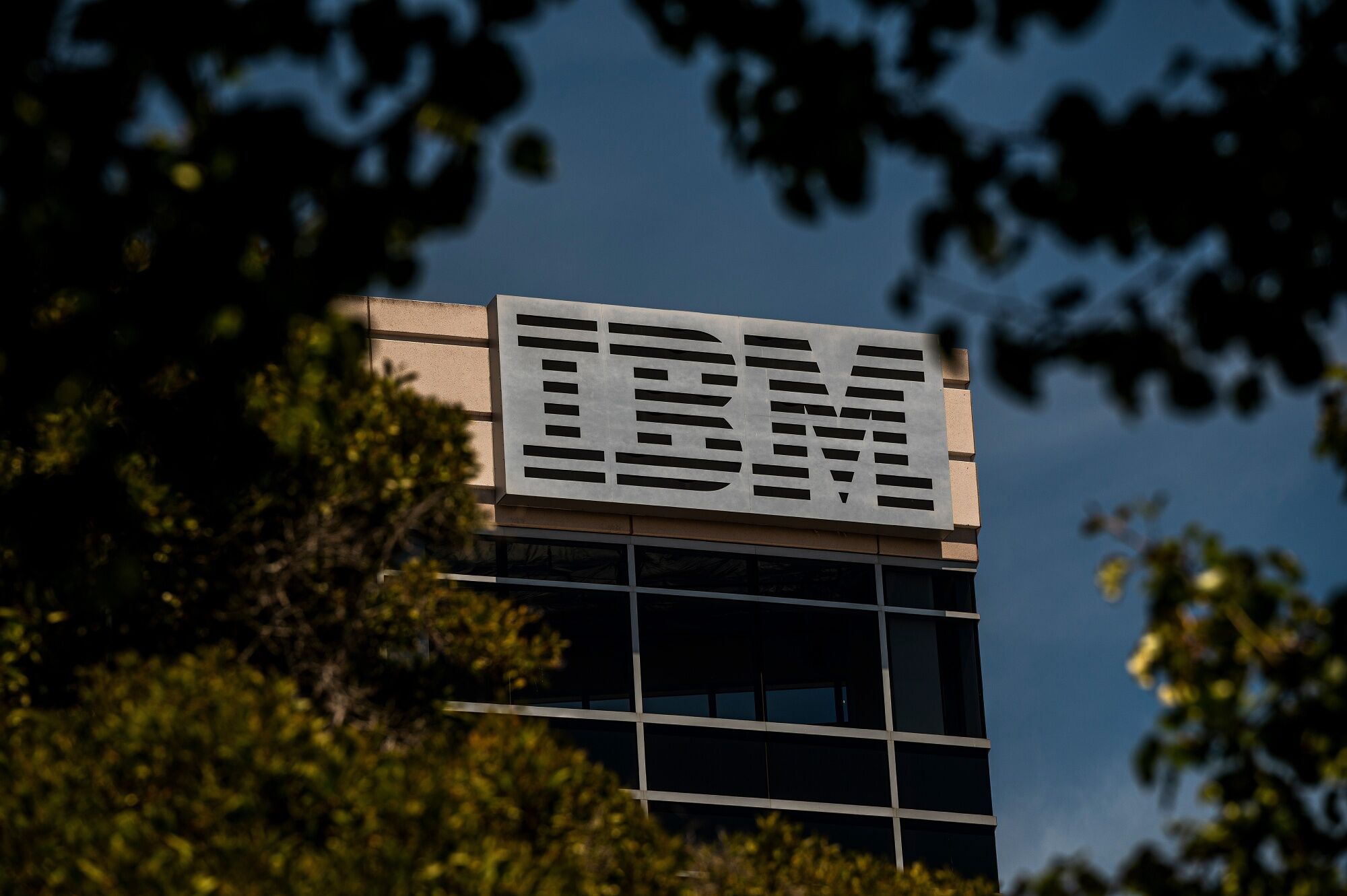 IBM registra un fuerte crecimiento de las ventas y un aumento en las ...