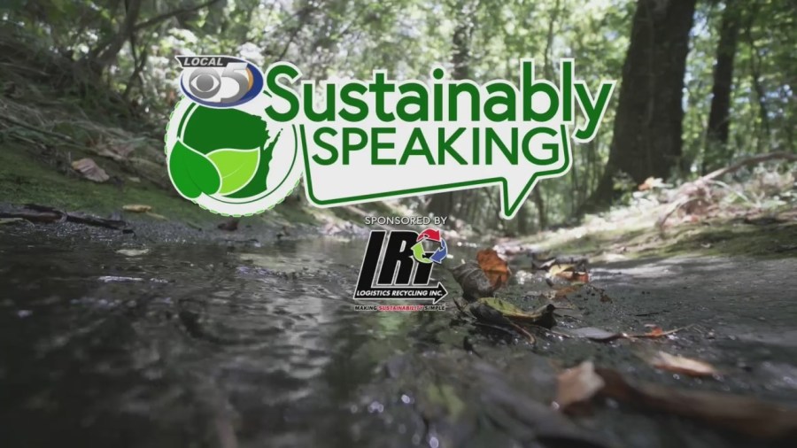 Sustainably Speaking: Winter Salt Week 2025 raises awareness about ...