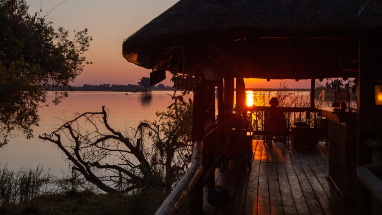 Noctourism drives the night safari travel trend in 2025