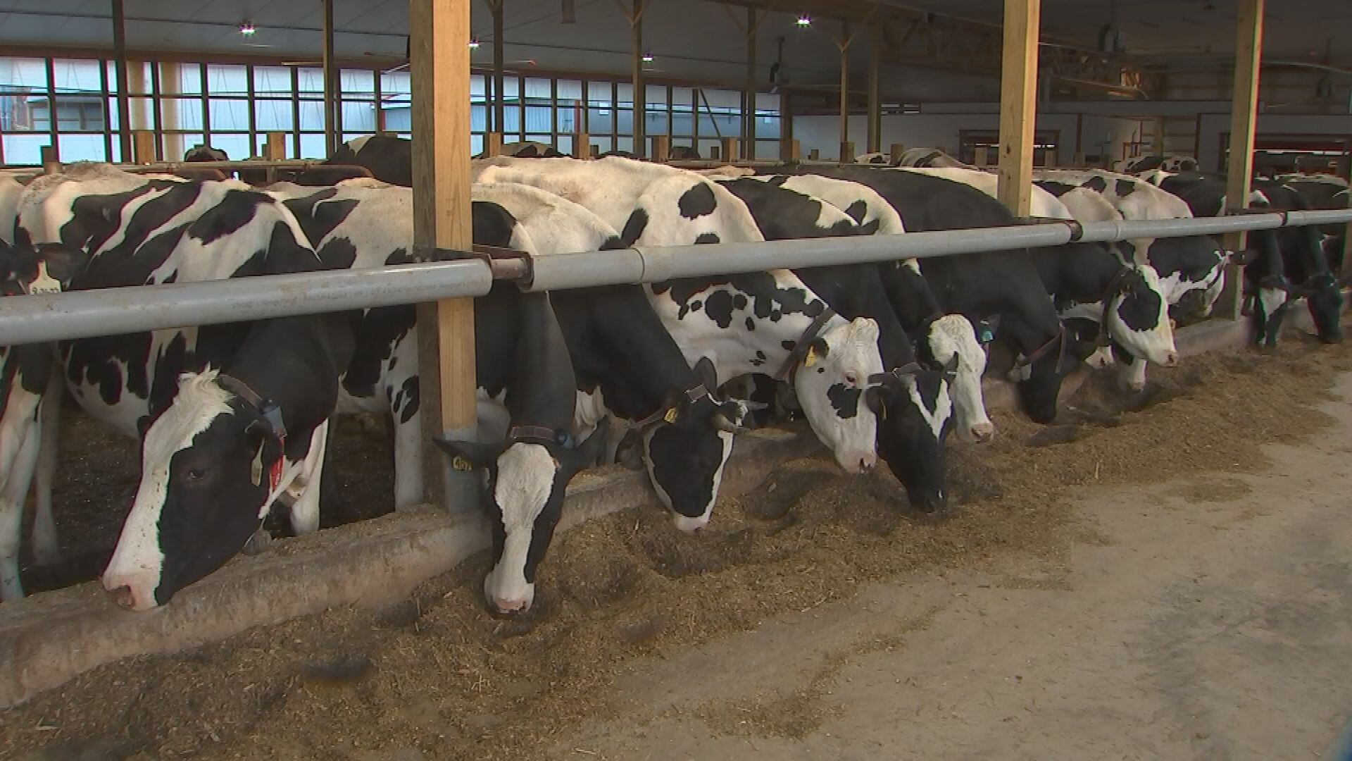 Beaver County dairy farm heavily damaged in fire reaches major ...