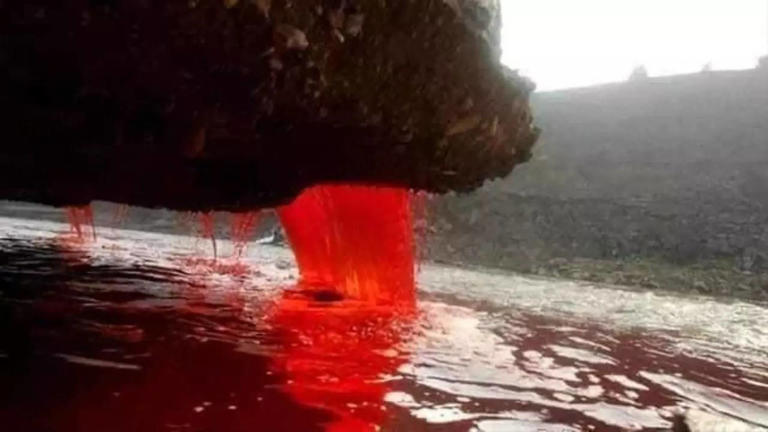 The mystery behind an unusual blood waterfall from a glacier