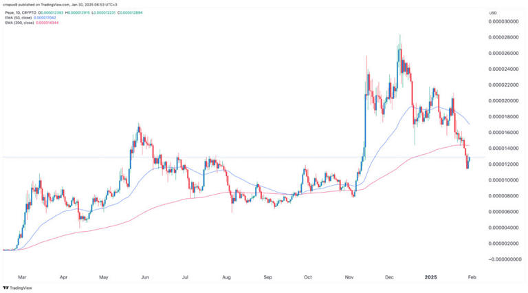 As the Pepe coin price falls, here are the best crypto alternatives