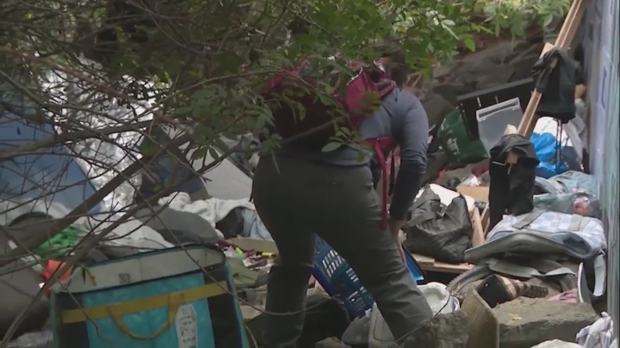 Homelessness down 7% in San Diego County, point-in-time count finds