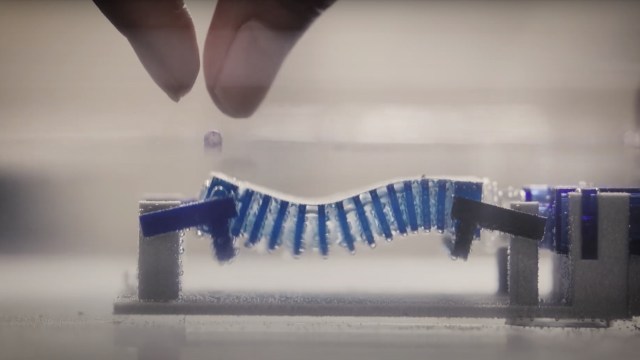 Scientists develop tiny, snail-inspired robot to help tackle unseen ...