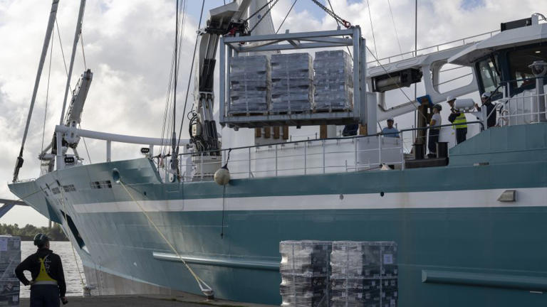 Carbon-conscious travelers can now sail across the Atlantic in a wind ...