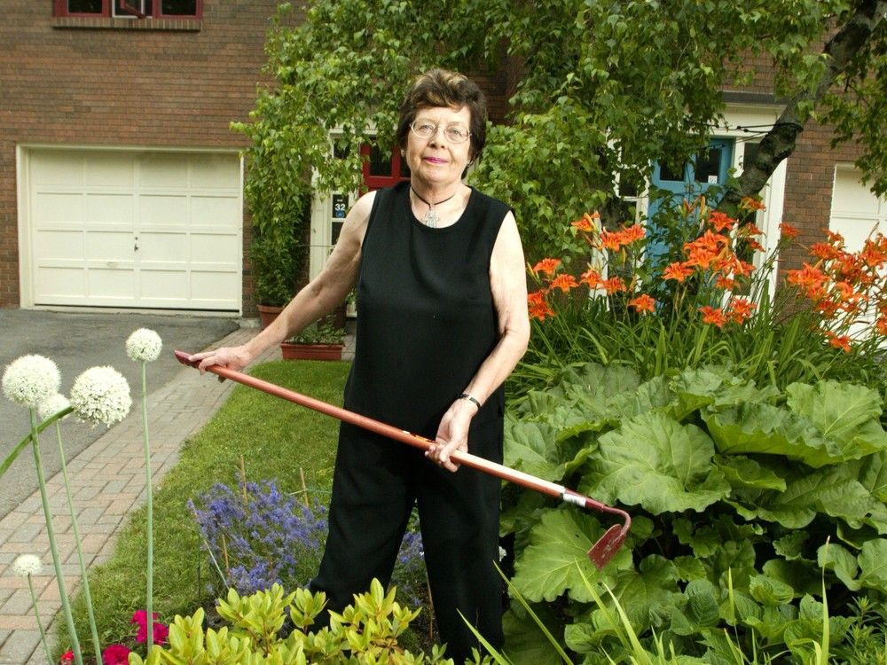 Jennifer Dickson, 1936-2025, was an accomplished artist, unconventional ...