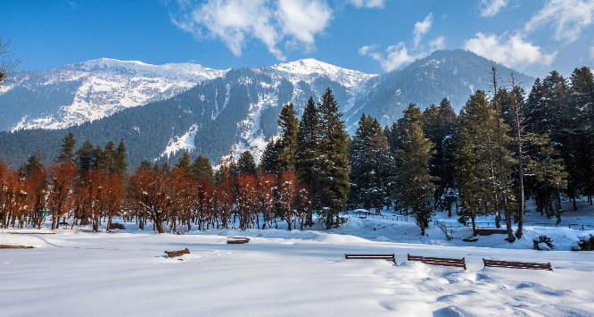 Discover Pahalgam: Best Things to Do in this Scenic Destination