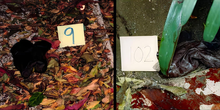 10 Most Shocking Reveals From Netflix's OJ Simpson Documentary Series