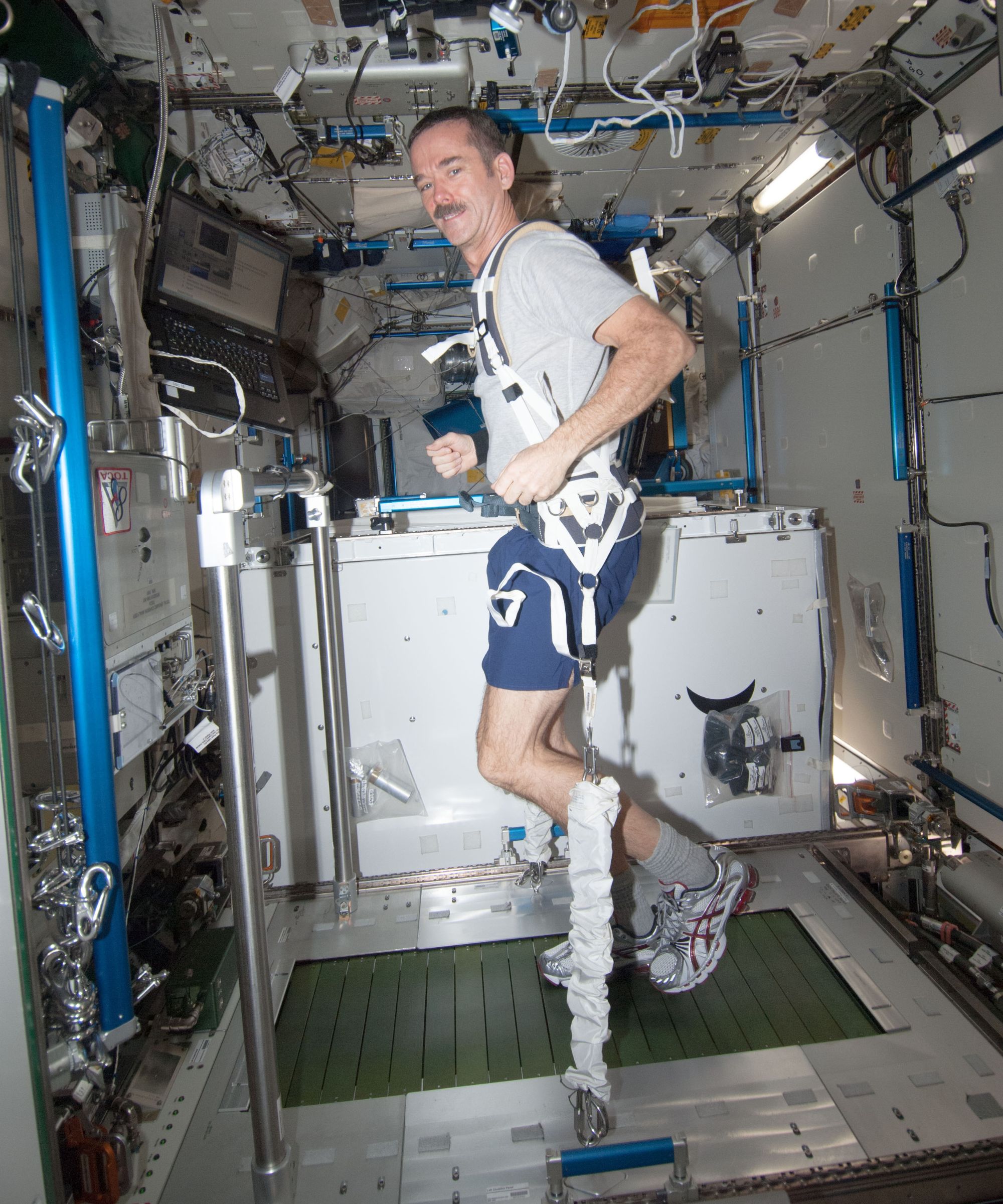 Astronaut Chris Hadfield reveals 7 out-of-this-world organizing tips ...