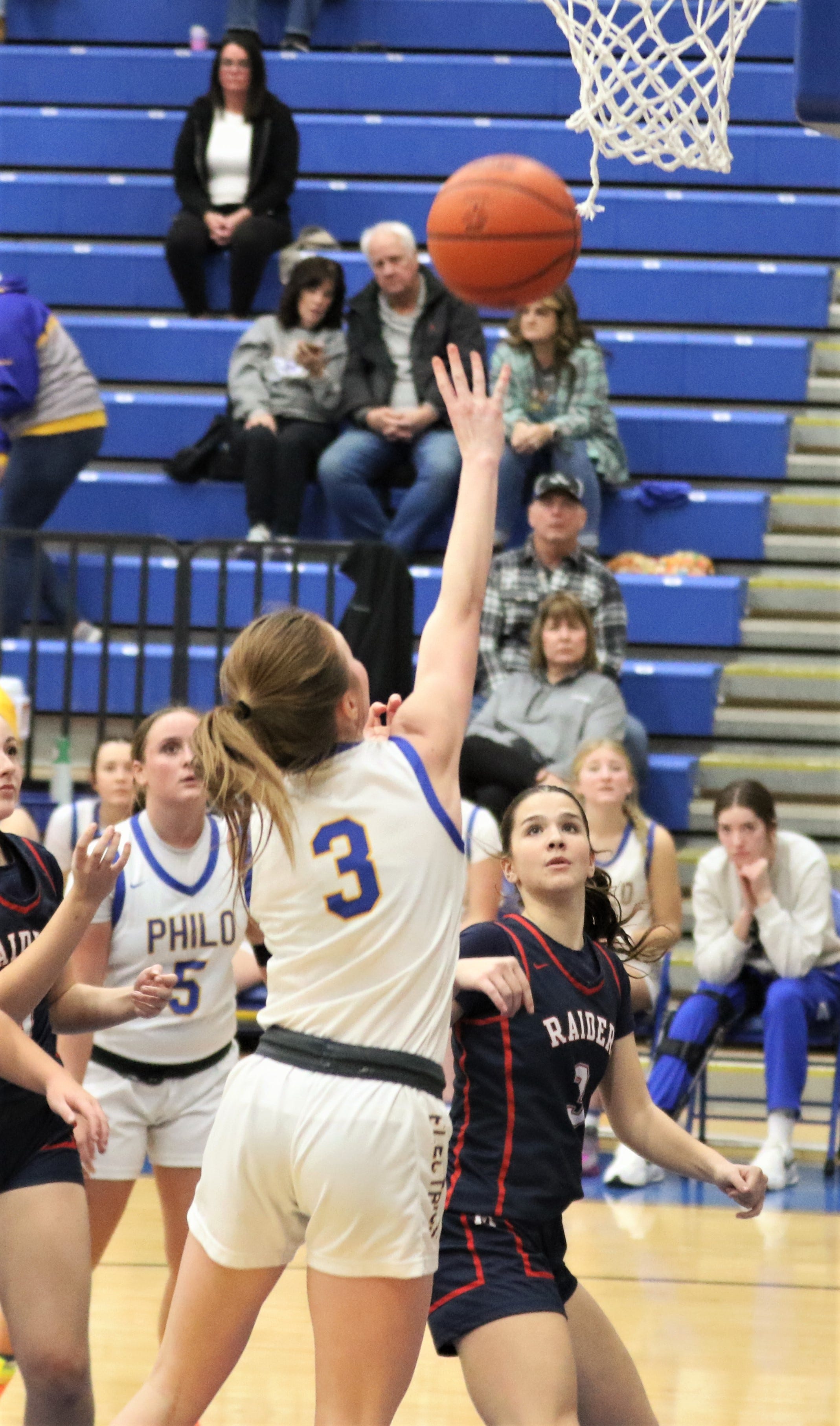 Tri-Valley's Garber, Sheridan's Heller headline All-Ohio picks in D-III