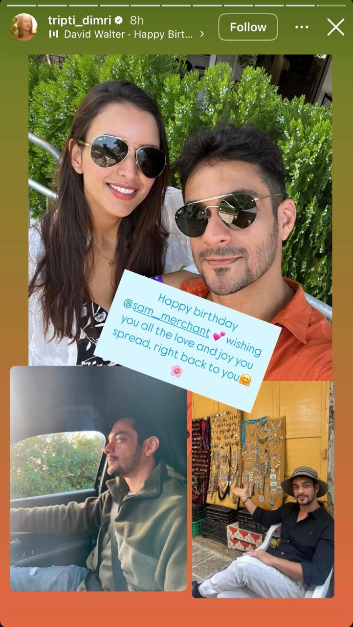 Triptii Dimri shares unseen picture with rumoured boyfriend Sam ...