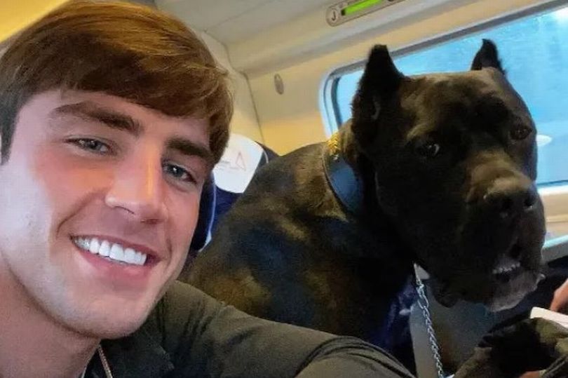Love Island's Jack Fincham jailed over out-of-control dog – before he's ...