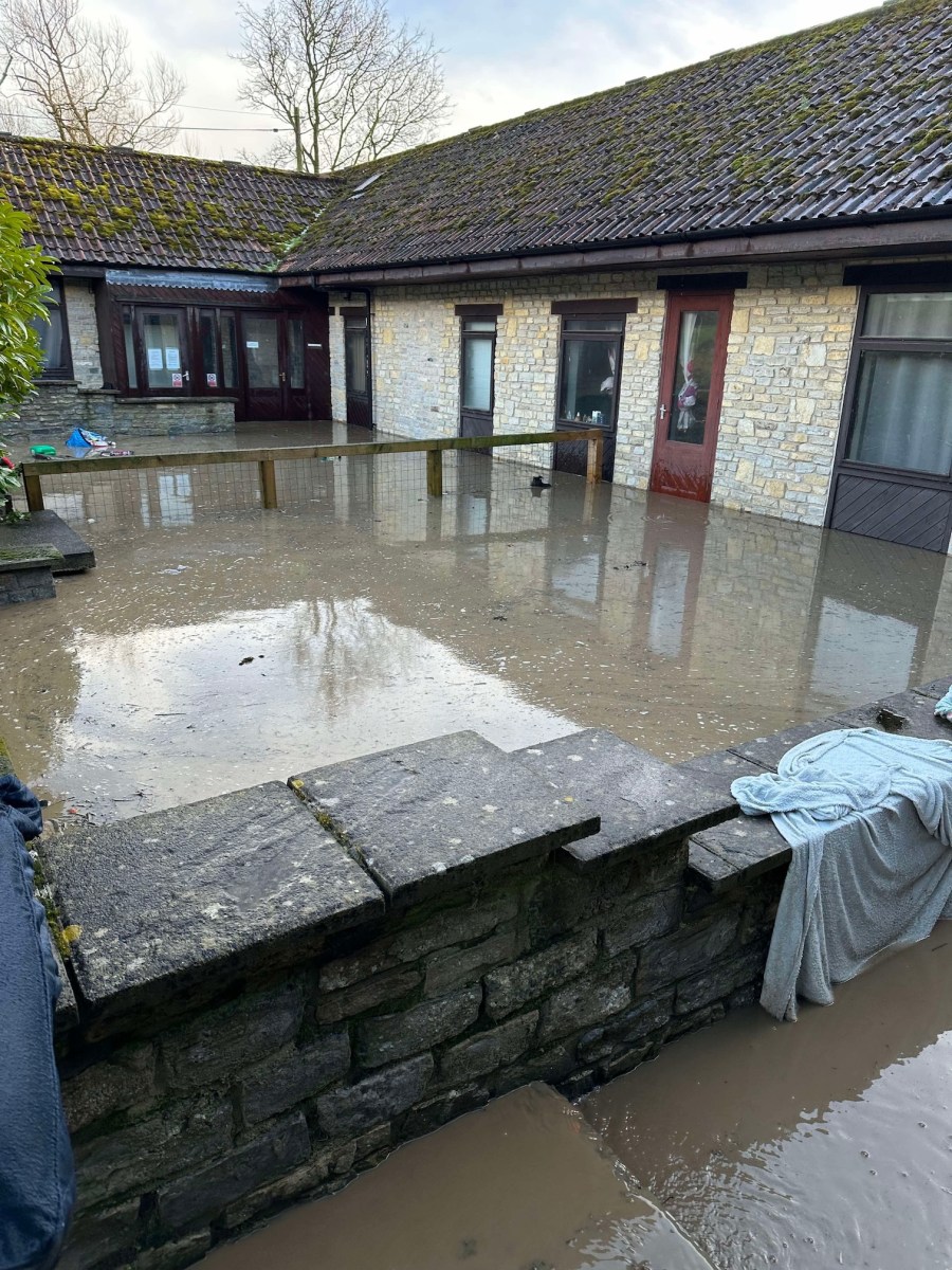 Flash flooding forces equine charity to temporarily close its Somerset ...