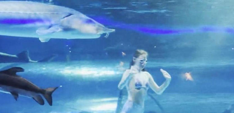 Underwater Nightmare: Mermaid Performer Bitten in Head by Giant Fish in Chinese Aquarium | WATCH ...