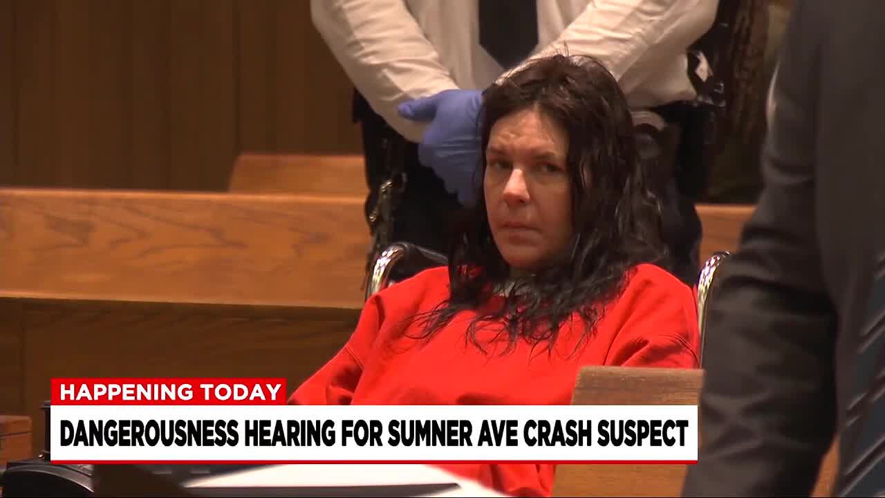 Hearing held for woman accused of hitting Springfield police officers ...