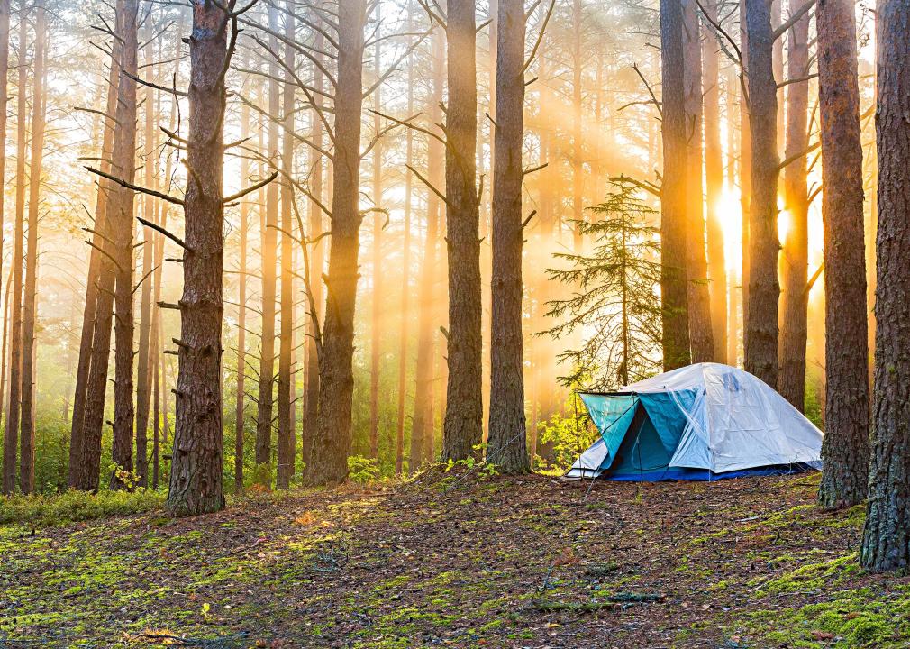 The national forests in Pennsylvania where you can go camping all year ...