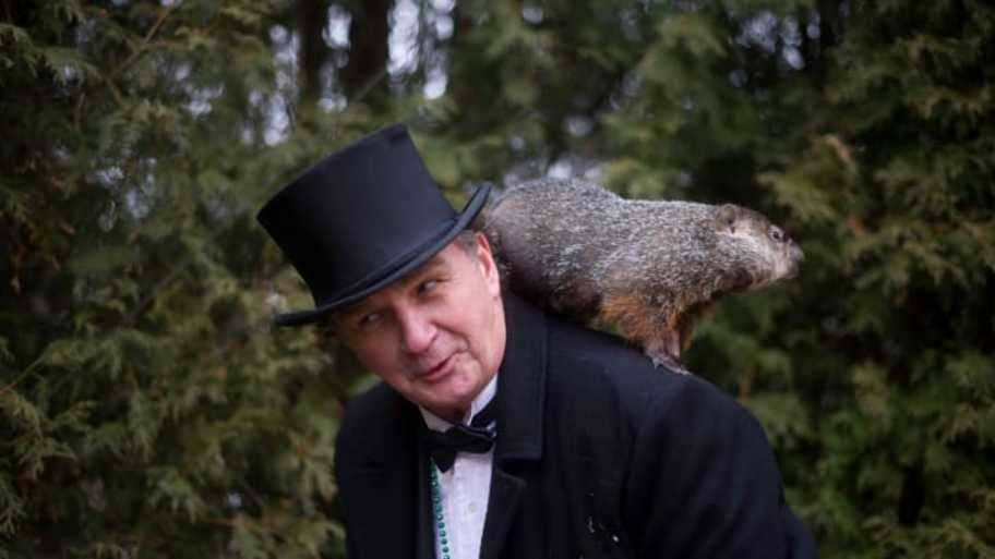 11 Punxsutawney Phil Facts for Groundhog Day