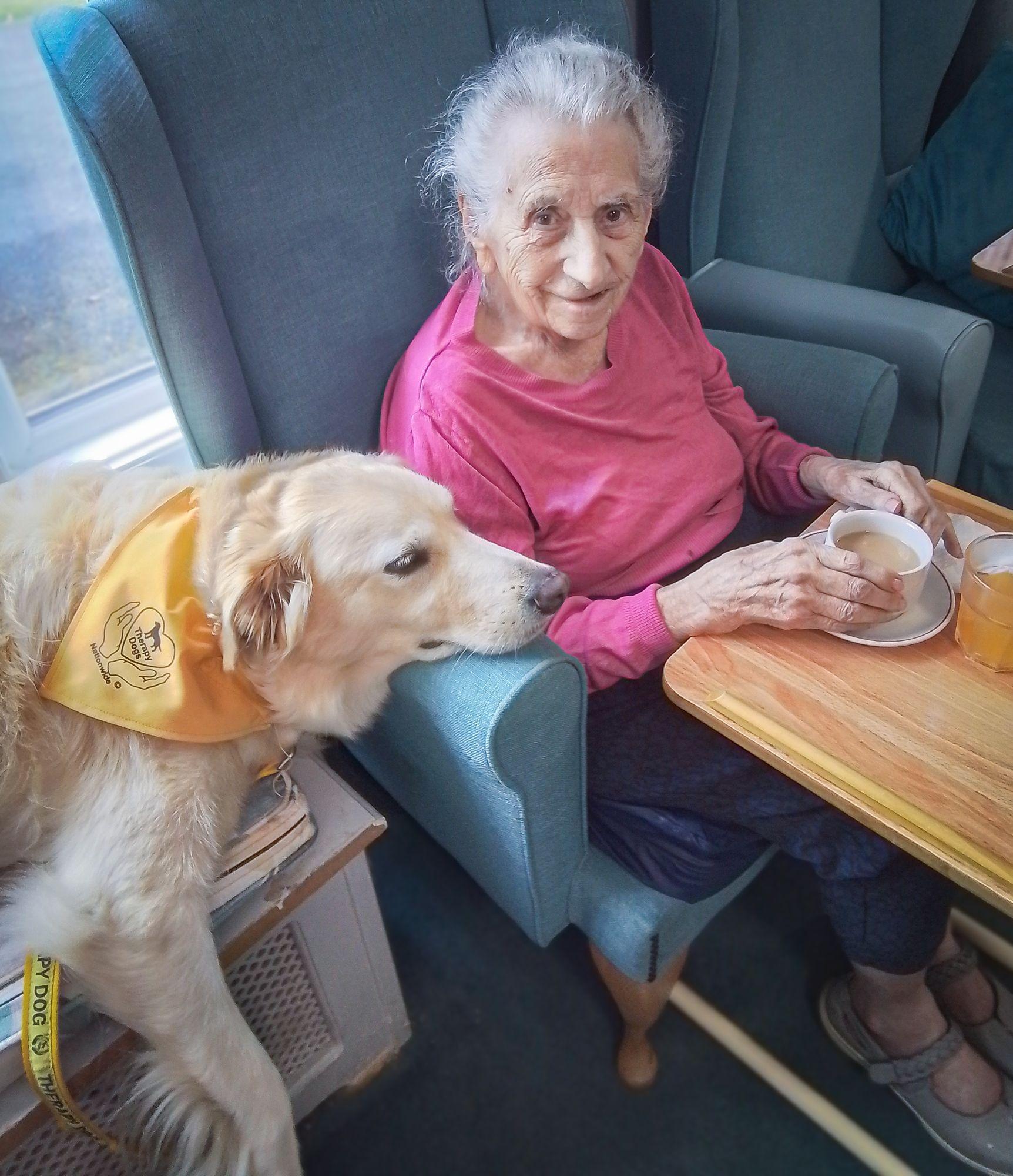 Therapy dog brings paw-some happiness and helps care home residents ...