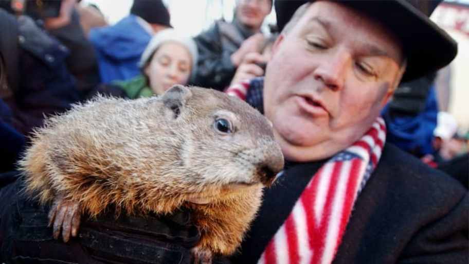 11 Punxsutawney Phil Facts for Groundhog Day