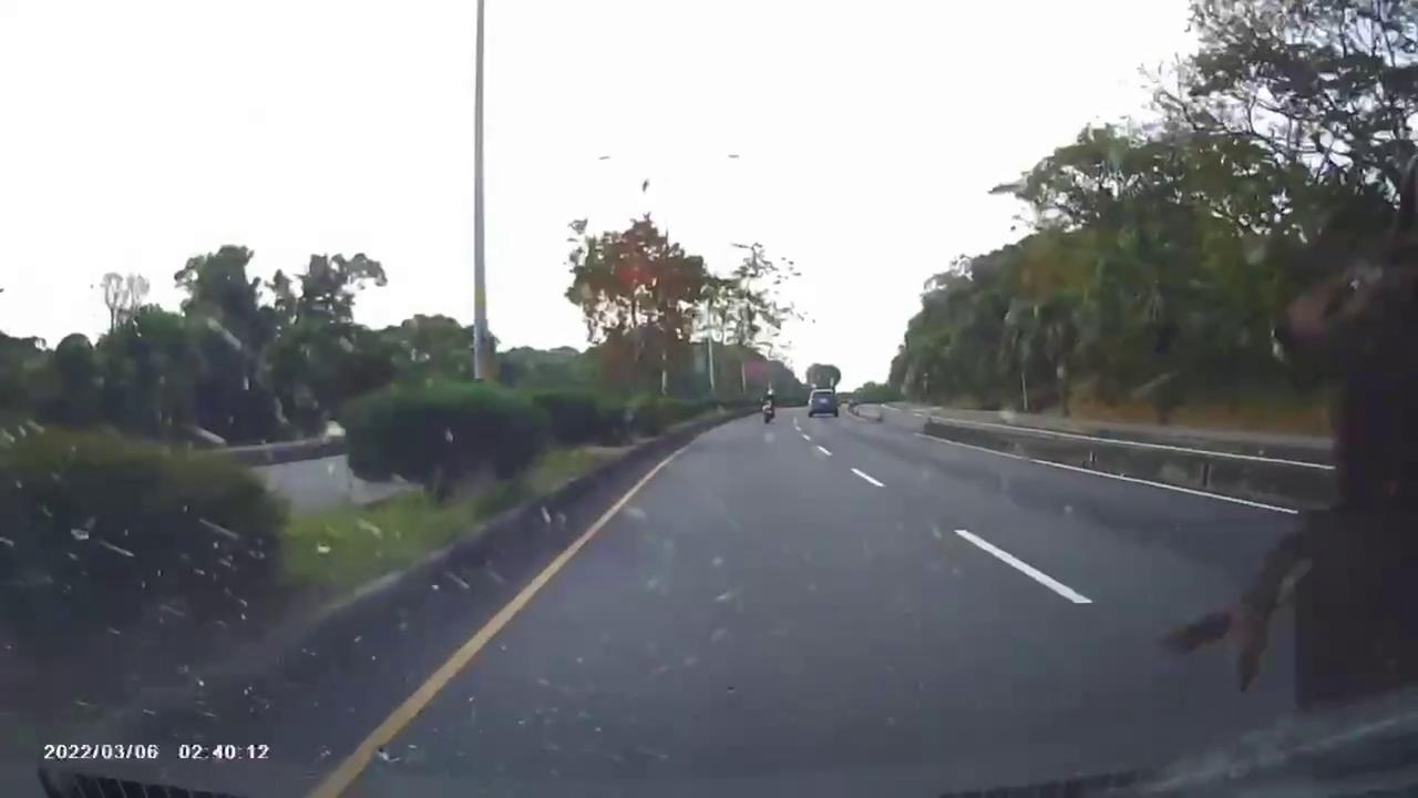 Deer struck by oncoming car before scampering away