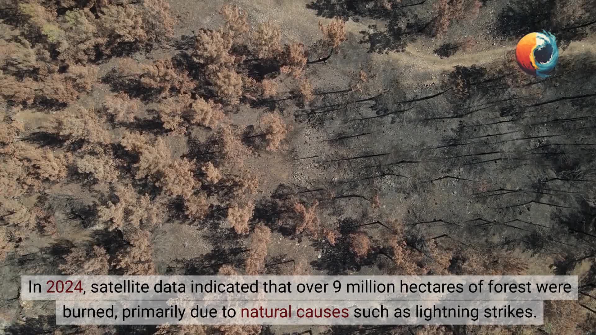 The Countries with the Most Forest Fires: A Comprehensive Overview