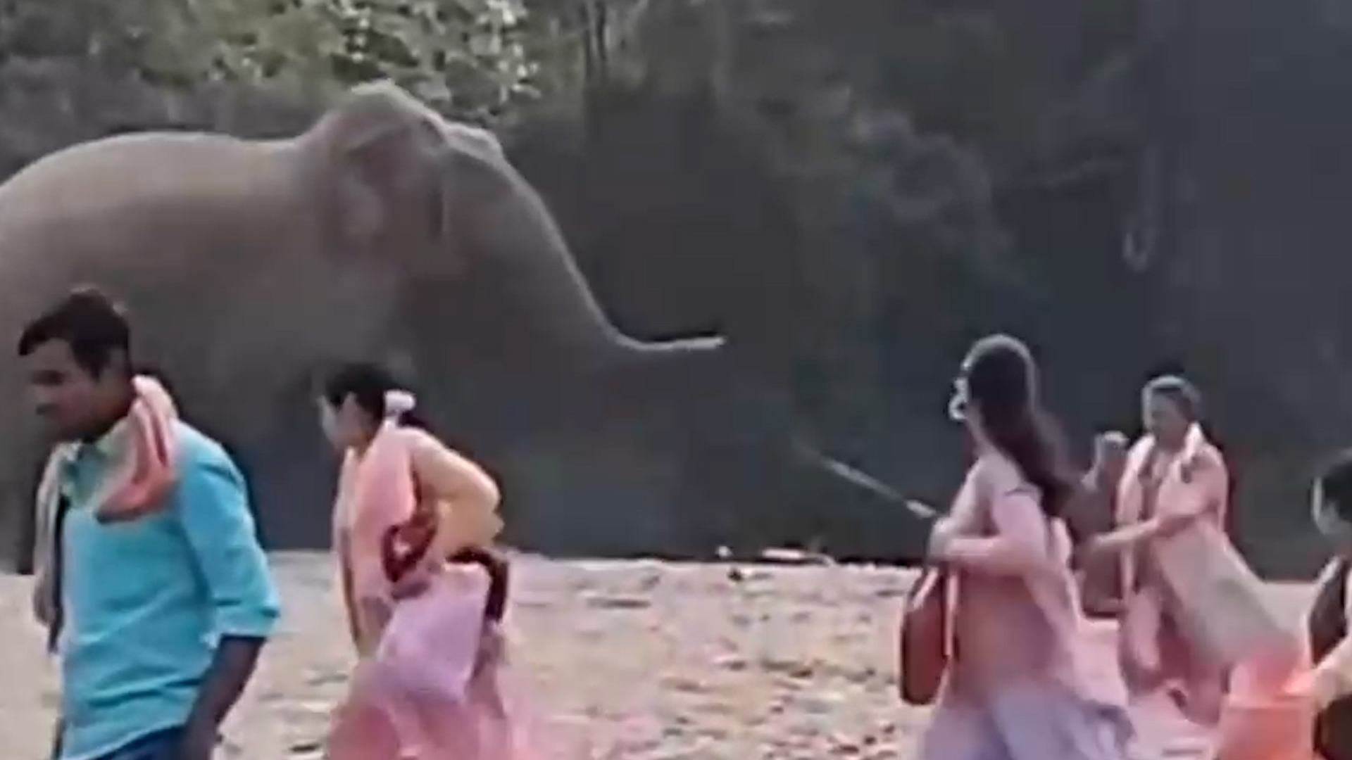 Wild elephant storms picnic spot - sending families fleeing in panic