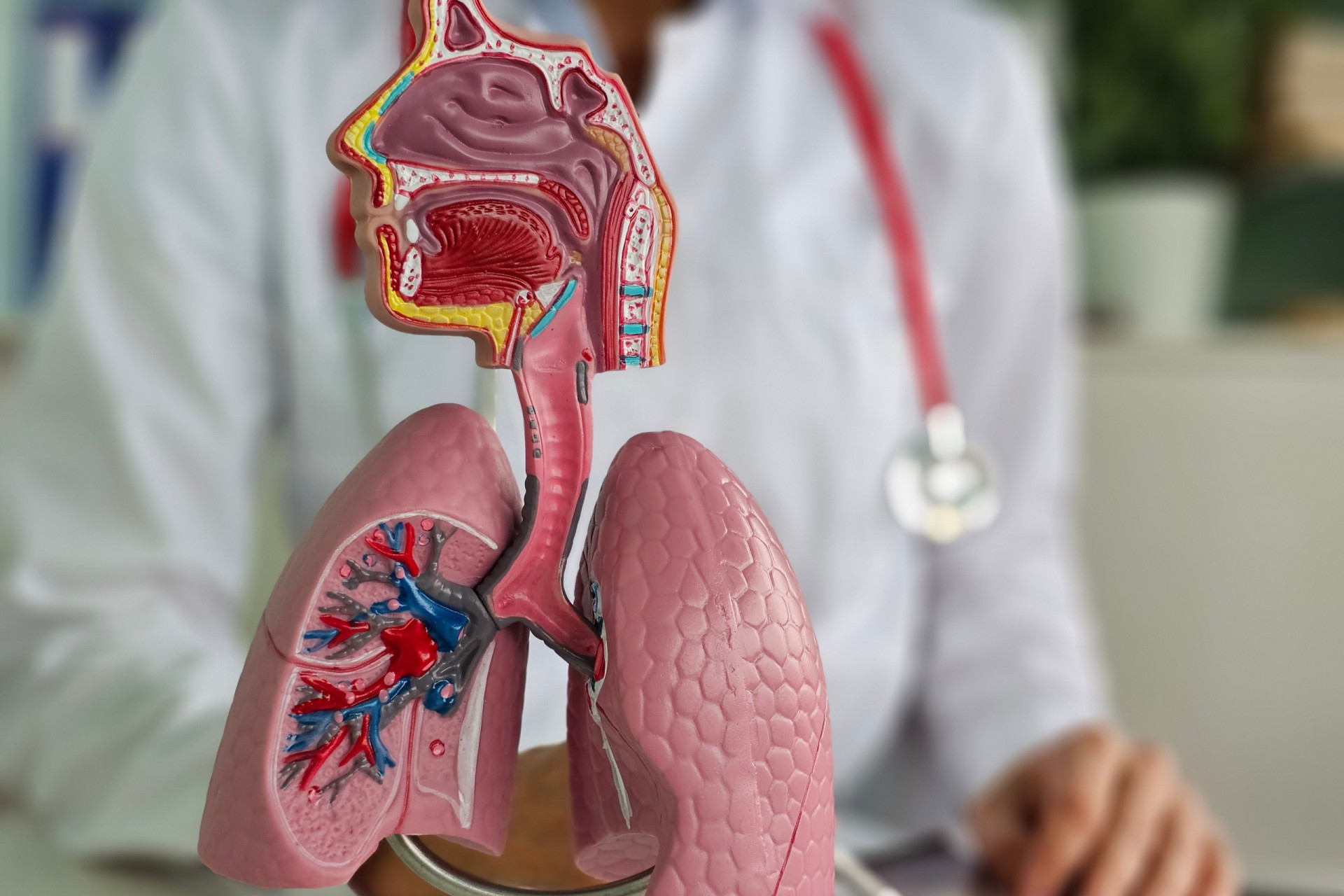 Comprendre les causes d'une toux persistante après guérison