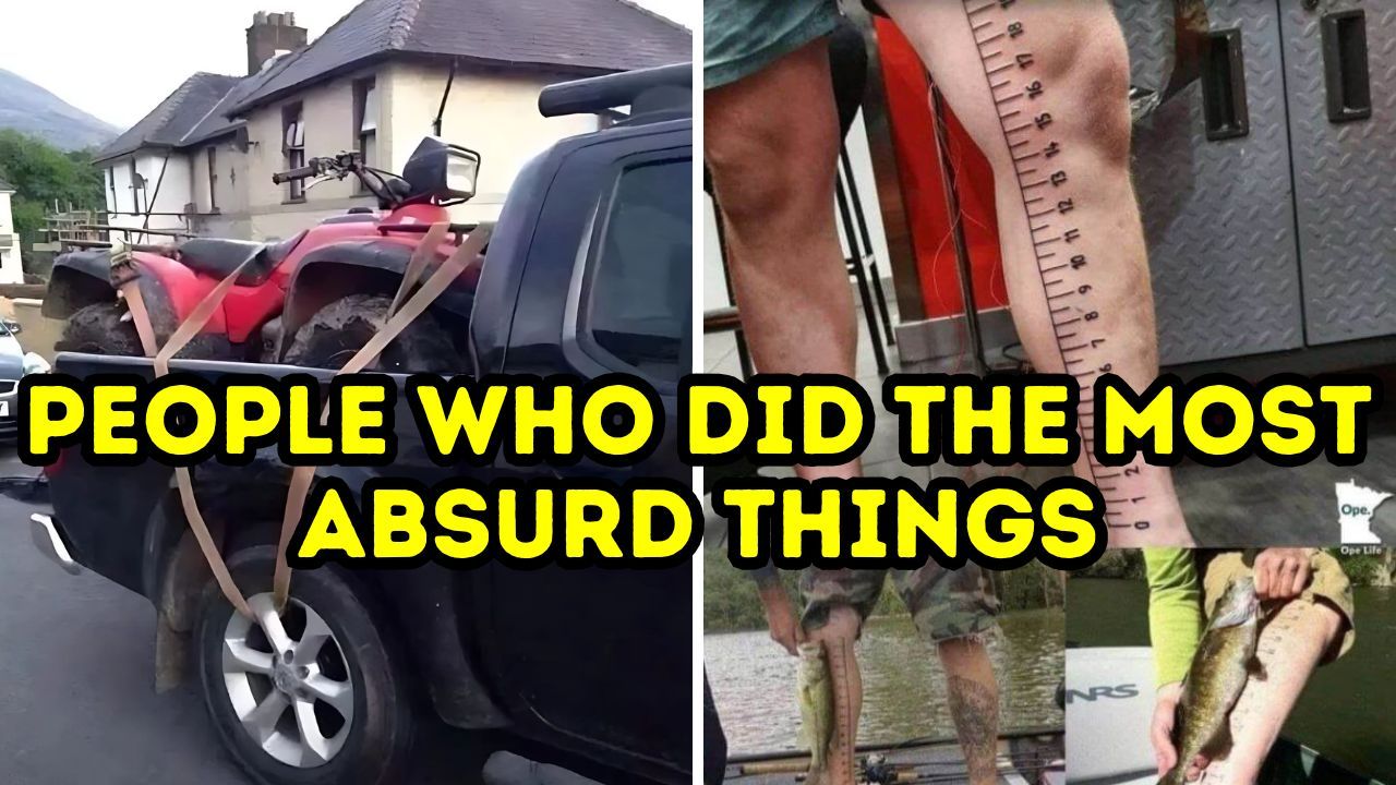 18 People Who Did the Most Absurd Things Without a Clue