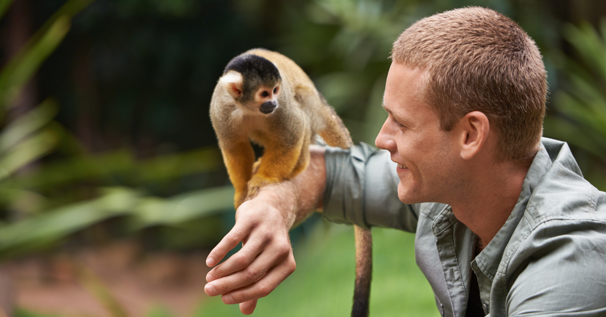 10 Must-Visit Travel Destinations To Hang Out With Monkeys in the Wild
