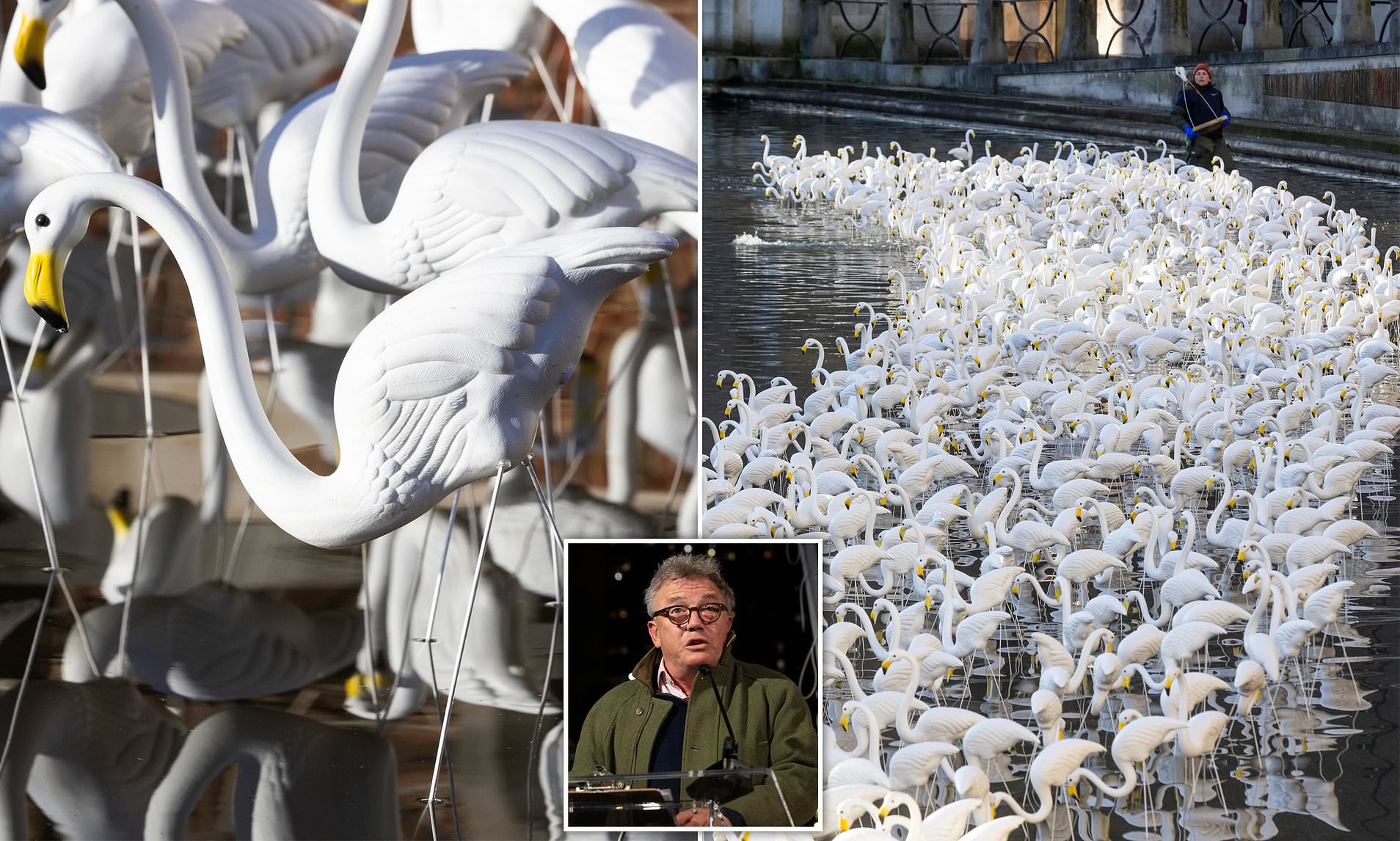 Artist ridiculed for creating 1,000 plastic flamingos for eco display