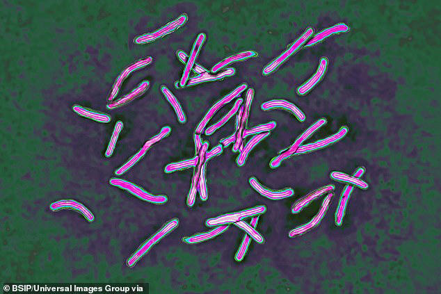 Victorian lung disease tuberculosis surges in the UK
