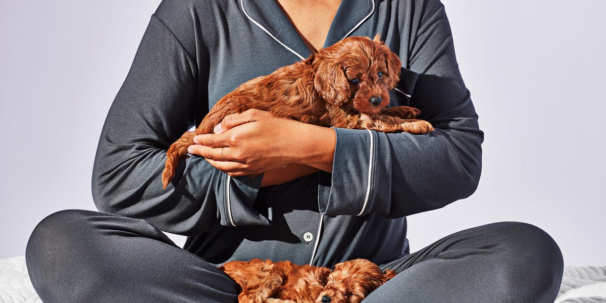 The New Rules Of Good Sleep Will Help You Feel More Rested And Energetic