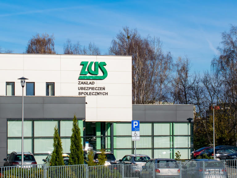 ZUS zaostrza kontrolę 800 plus. Nowy warunek uderzy w część rodzin