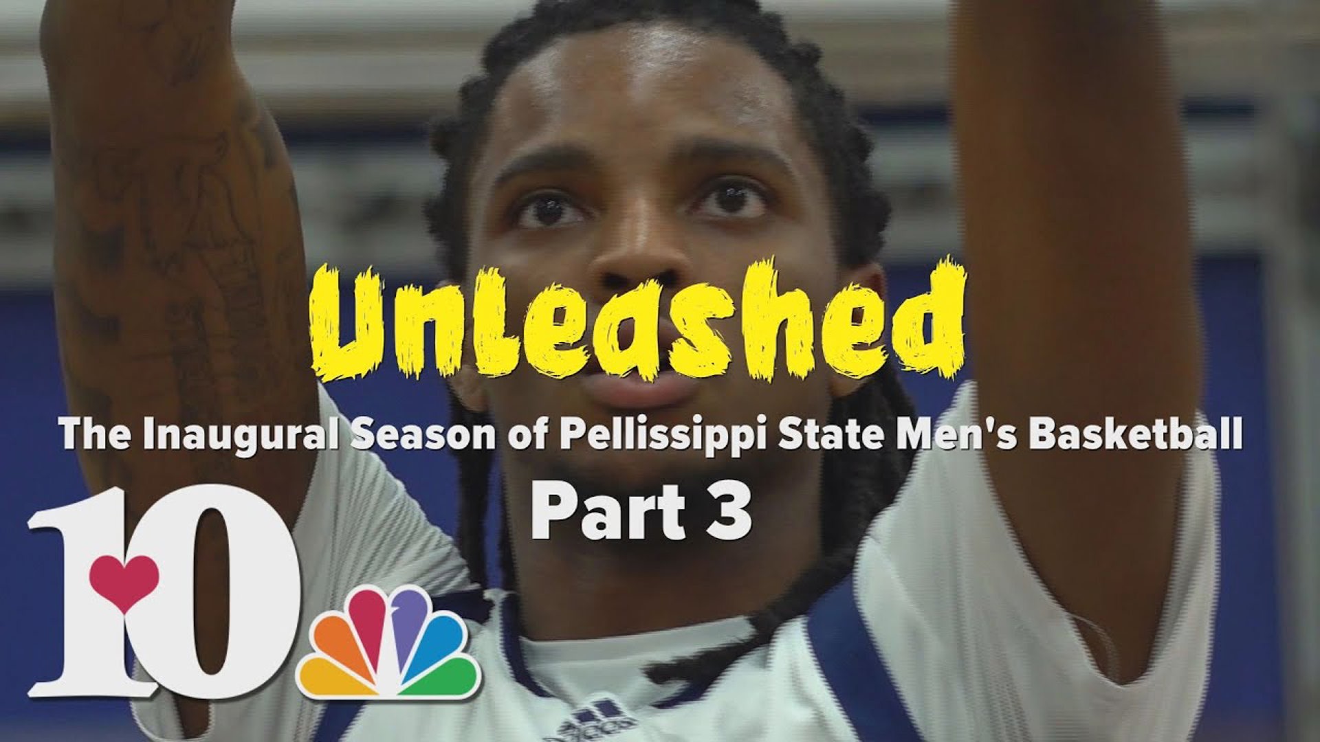 Unleashed - The Inaugural Season of Pellissippi State Men's Basketball ...