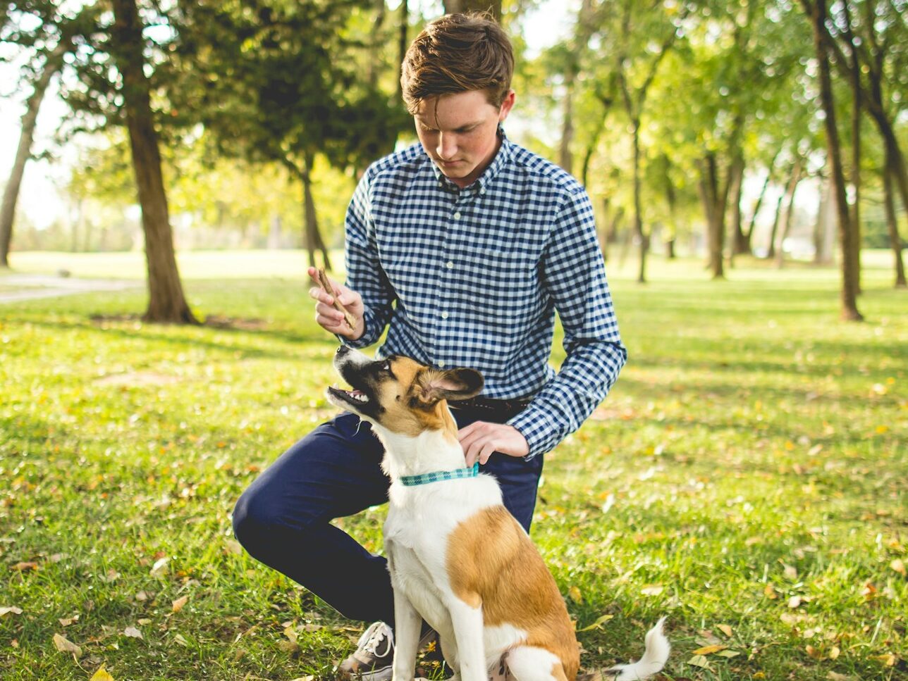 15 Dog Life Hacks Every Dog Owner Should Know