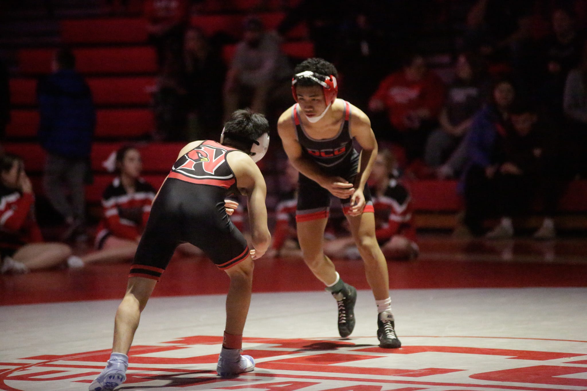 DCG wrestling sends nine to state, boys basketball goes undefeated in ...