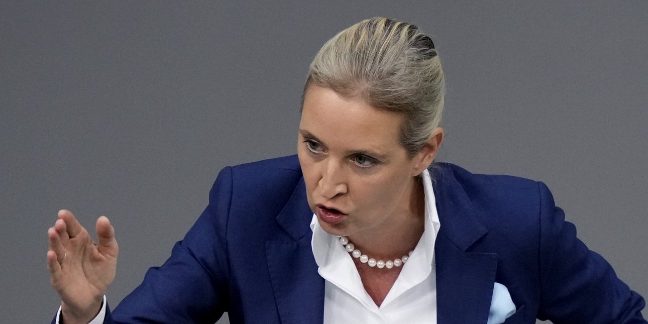 Δημοσκόπηση -Γερμανία: Κερδίζει κι άλλο έδαφος το AfD, το SDP δίνει μάχη για την 3η θέση με τους ...