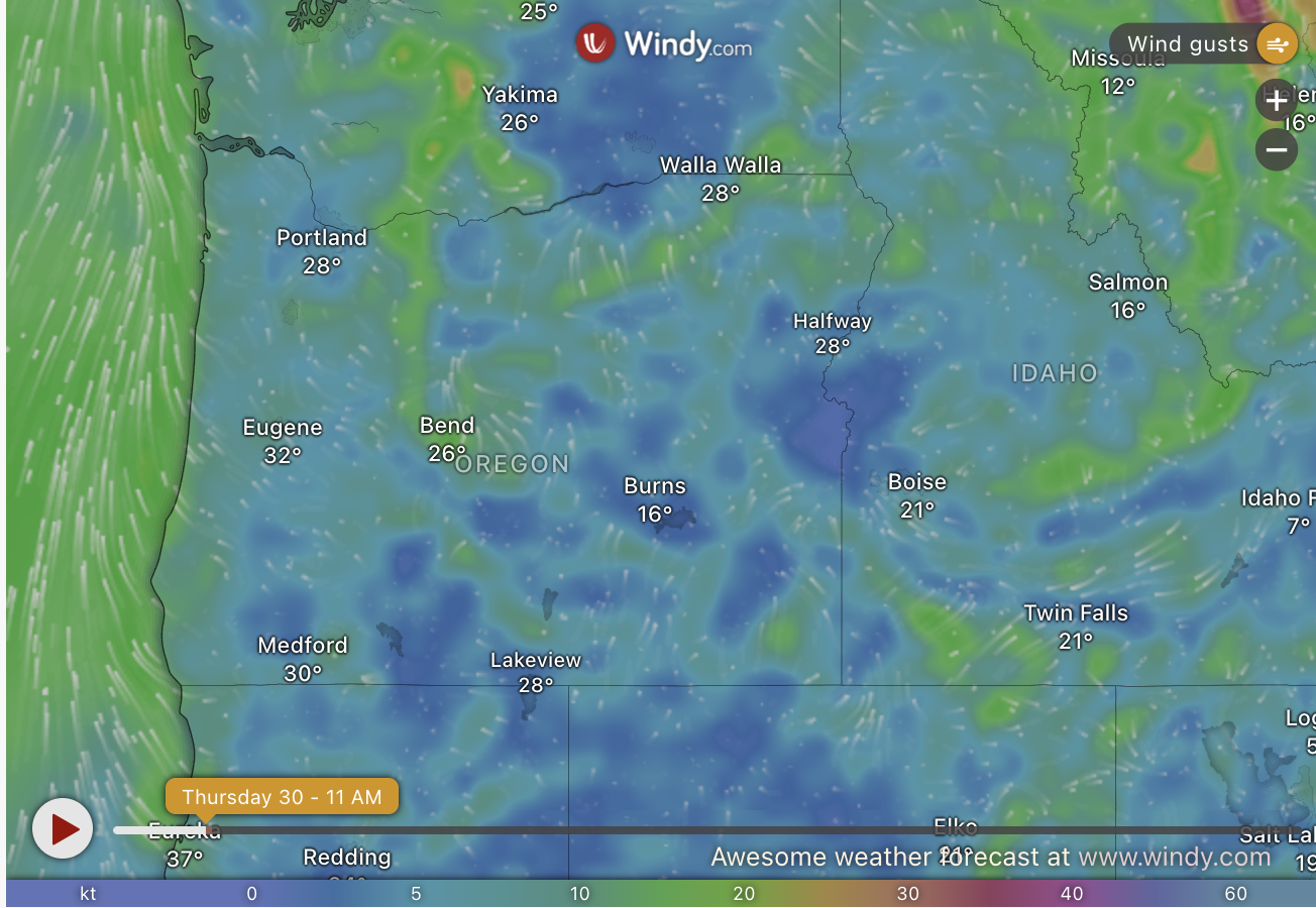 Oregon Wind Advisory Warns of Possible Power Outages, Gusts Up to 50 mph