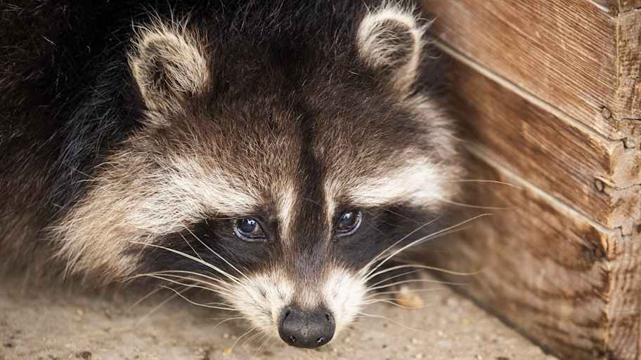 This gay romance from Amy Bellows gives us a look at what it means to ...