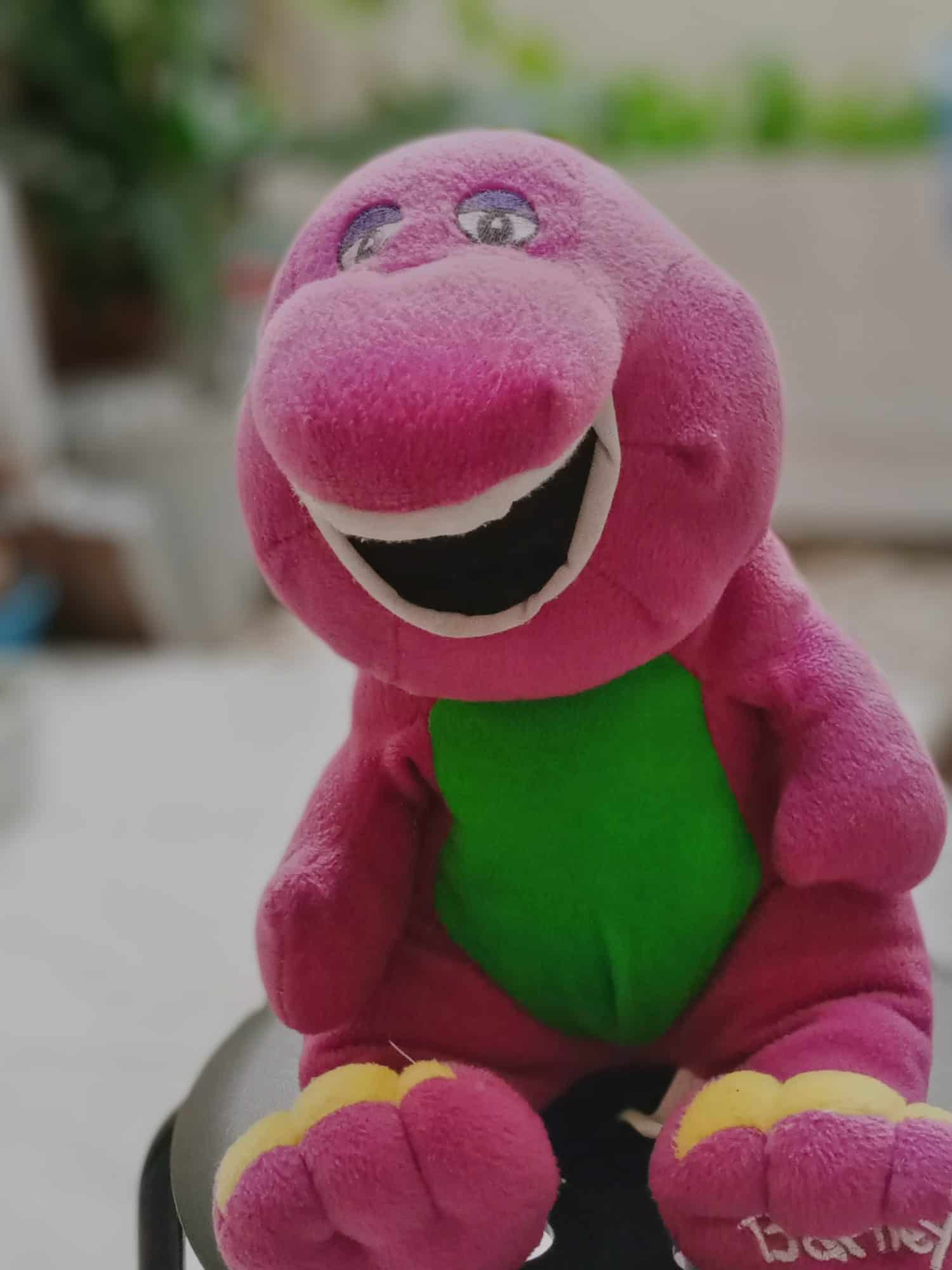 Whatever Happened to the Cast of Barney?