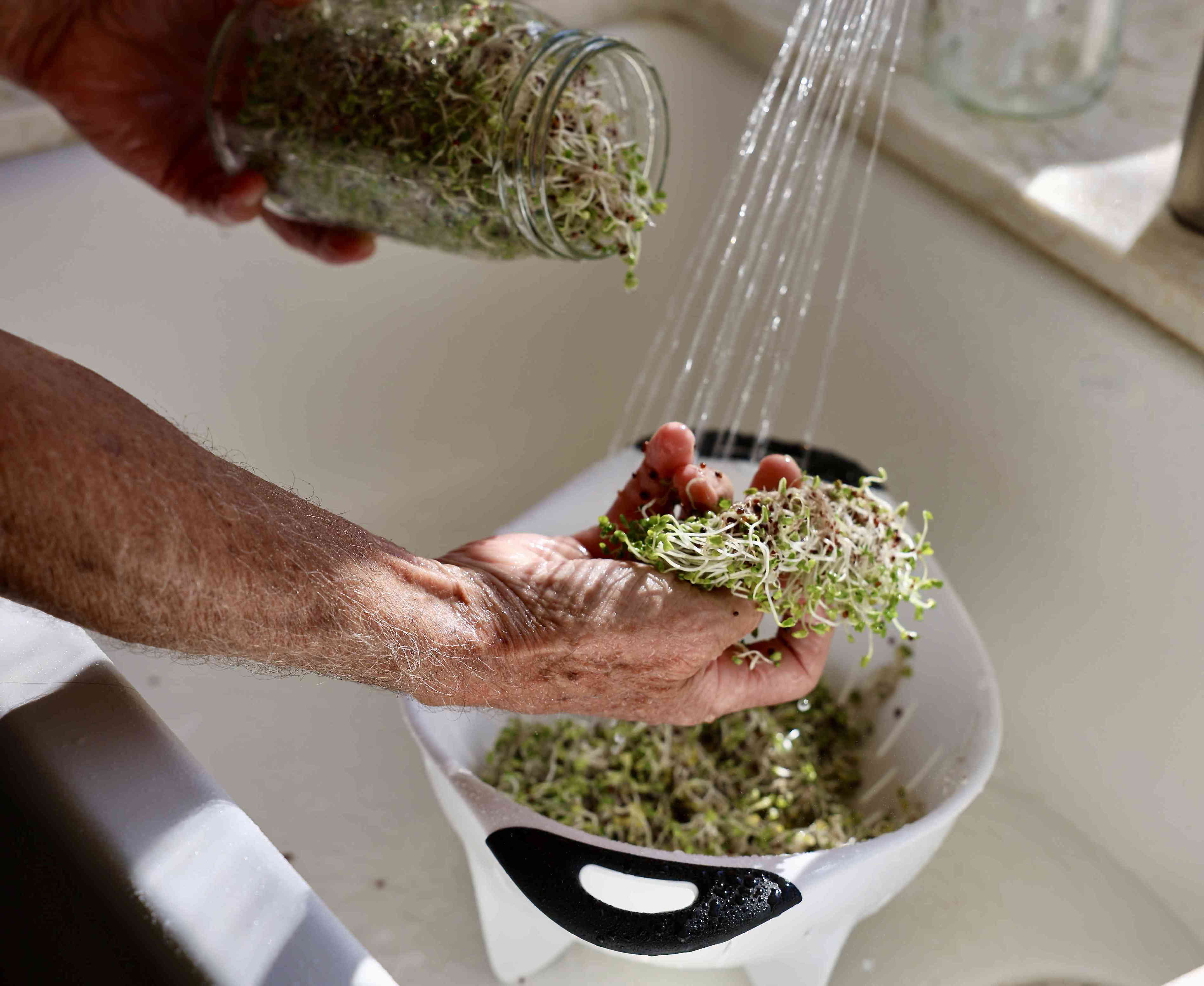 What Happens to Your Body When You Eat Broccoli Sprouts Regularly