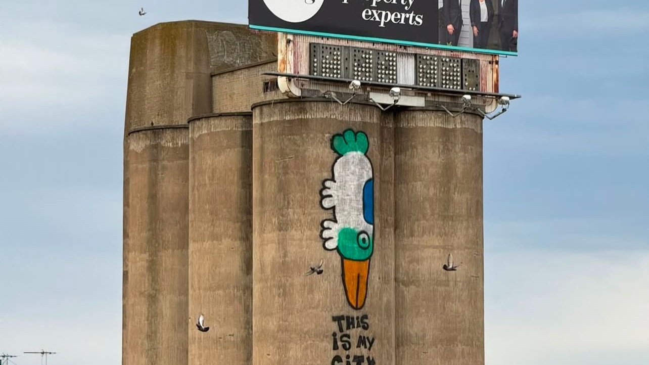 Alleged creator of Melbourne's infamous 'Pam the Bird' graffiti behind bars