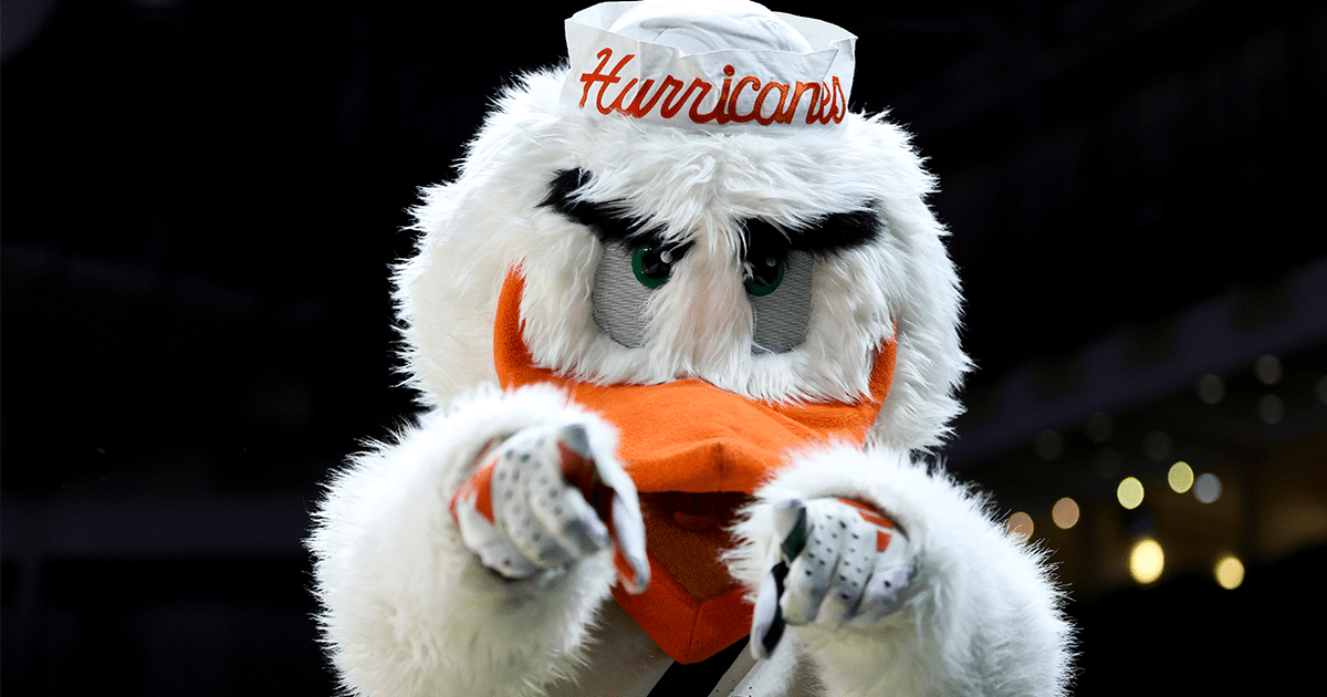 Miami announces addition of female mascot alongside Sebastian The Ibis