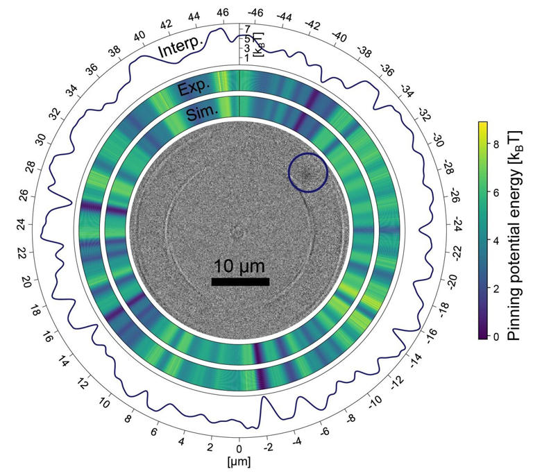 Simulation aligns skyrmion dynamics with real-time experiments Simulation aligns skyrmion dynamics with real-time experiments