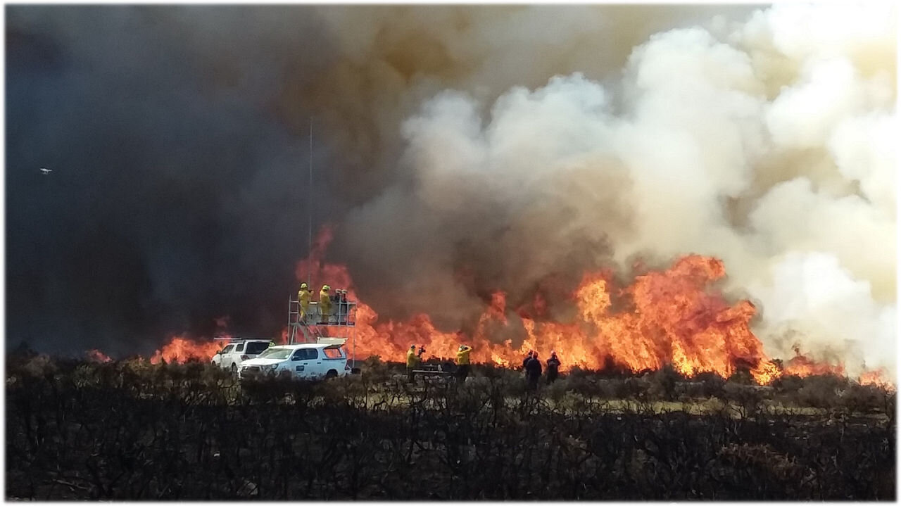 Forecasting Wildfires Ai Powered Tool To Combat Rising Wildfire Danger