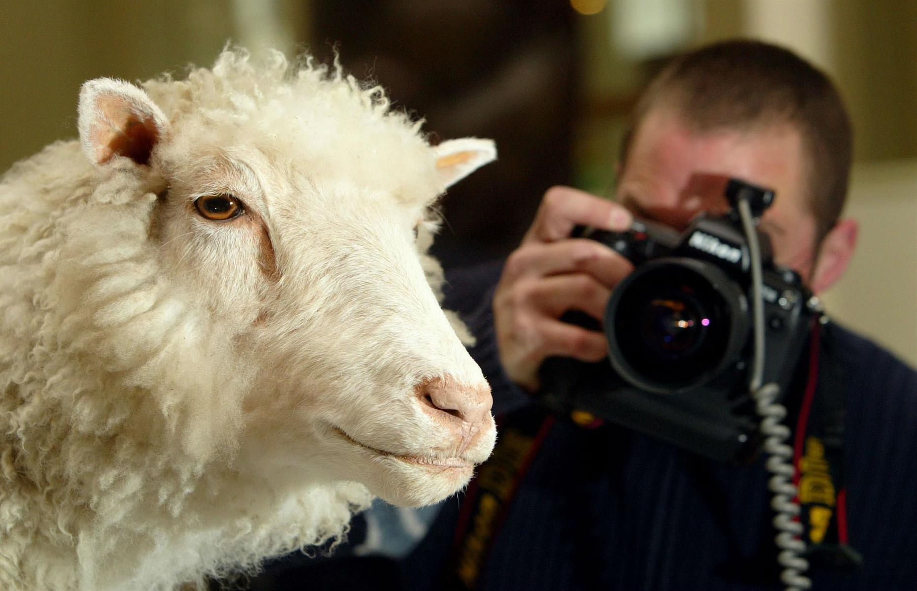 23 brilliant inventions that Britain gave to the world