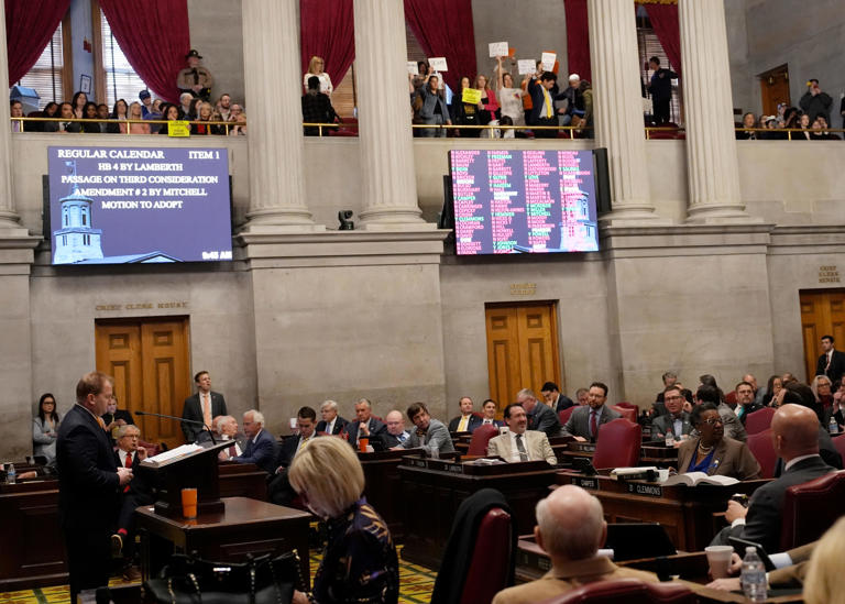 Tennessee lawmakers pass $447M school voucher program in major win for ...