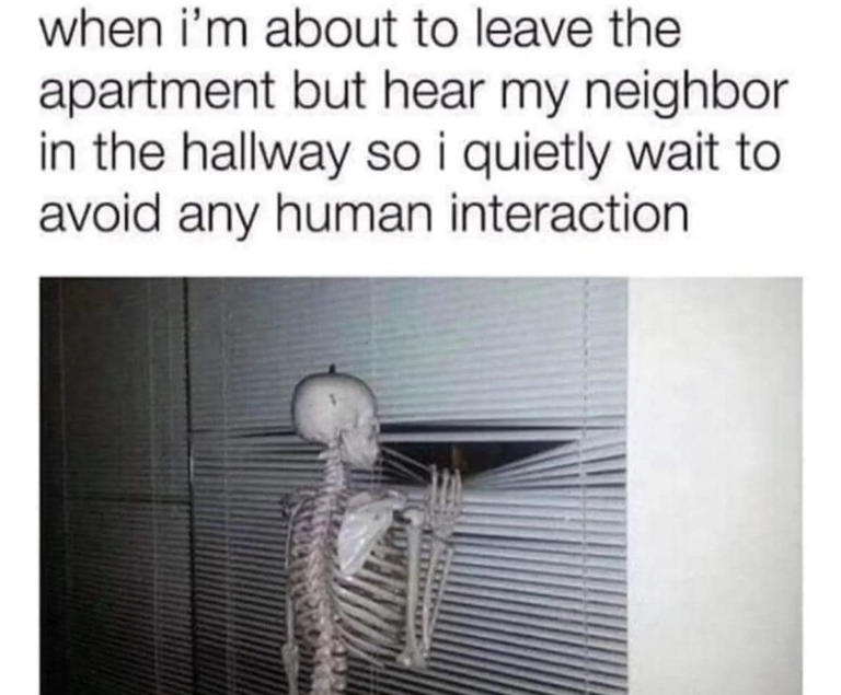 34 Hilarious Introvert Memes For "Lone Wolves" Who Are Actually Indoor Cats